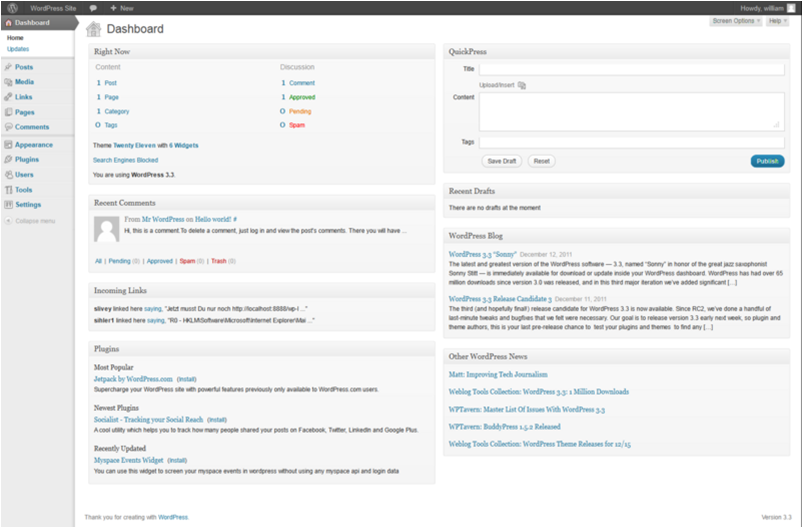 WordPress Dashboard - STI WP Buddy